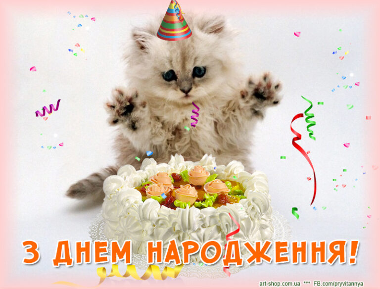 Поздоровлення з котиком до Дня народження ⋆ З Днем Народження ⋆